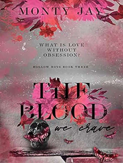 Tantor Media - Hollow Boys - Series